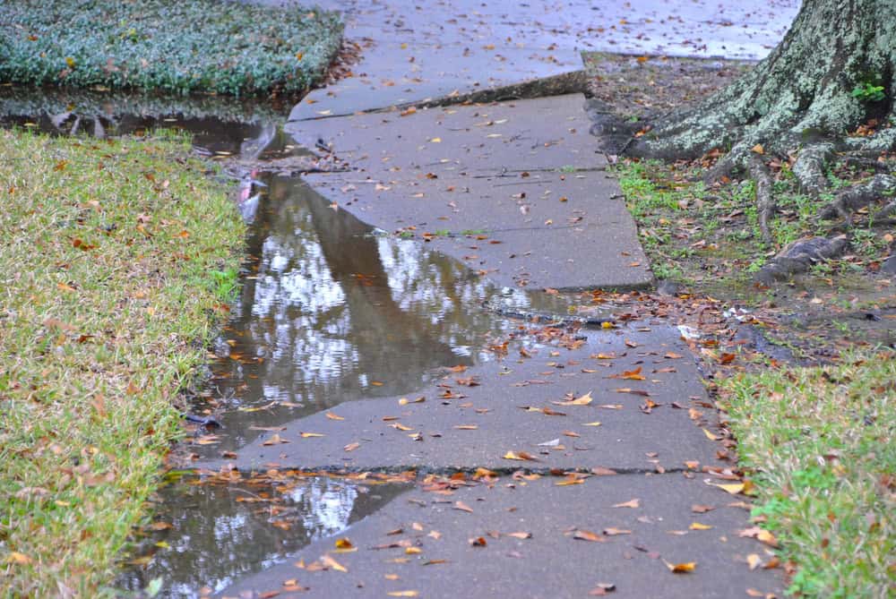 Understanding Premises Liability Coverage | Free Consults